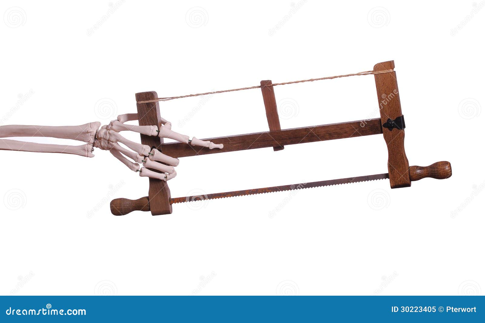 Skeleton Hand Holding Wooden Saw Stock Image - Image of bones ...