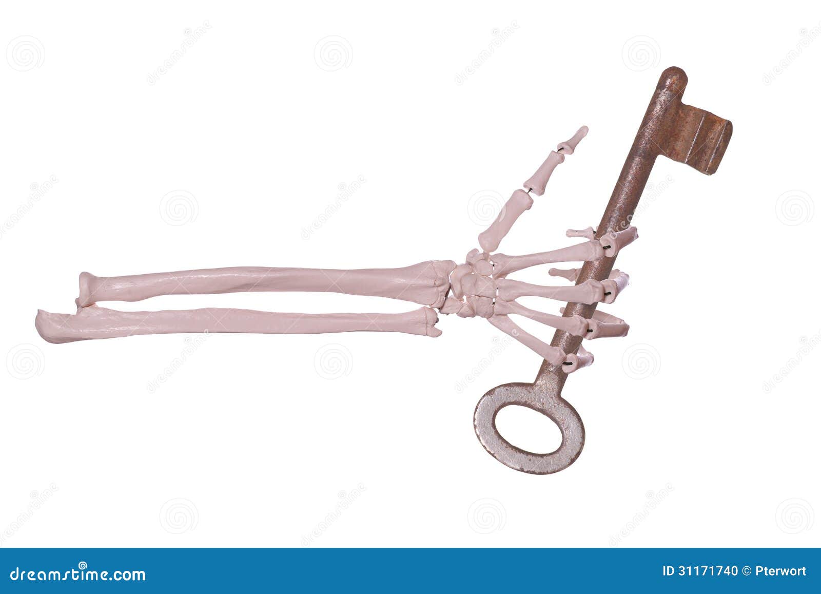 Skeleton Hand with Rusty Key Stock Photo - Image of dead, finger: 31171740
