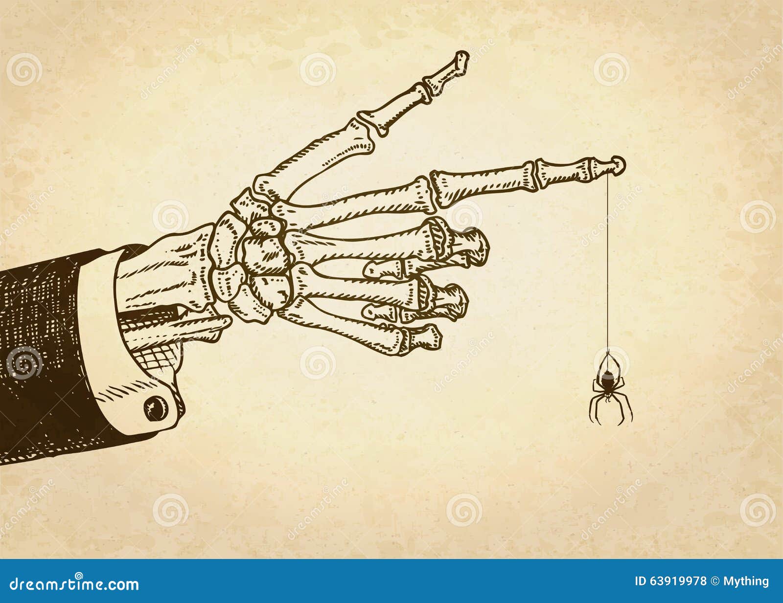Skeleton hand with spider stock vector. Illustration of etching - 63919978