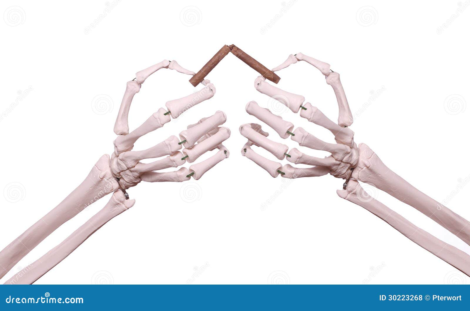 Skeleton Hands with Broken Cigar Stock Photo - Image of gift ...