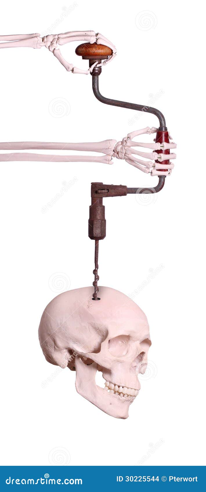 Skeleton Hands Drill With Hand Brace In Skull Royalty-Free Stock Image ...