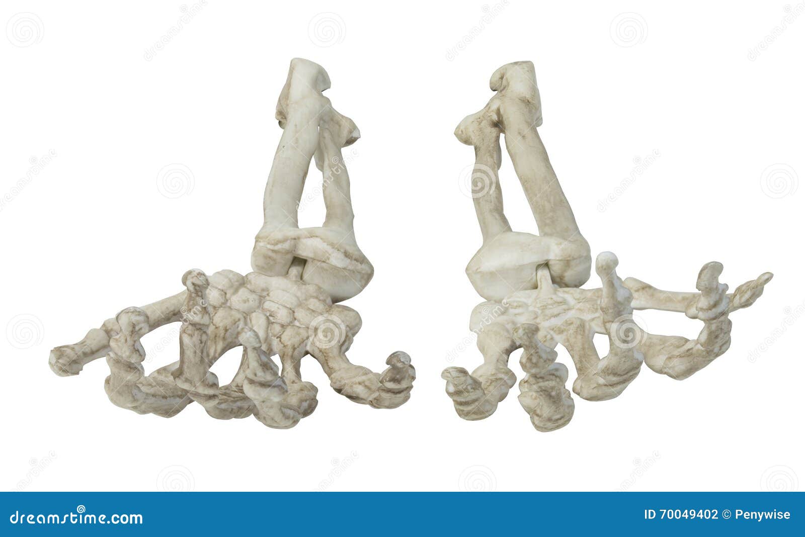 Skeleton Hands Drill With Hand Brace In Skull Royalty-Free Stock Image ...