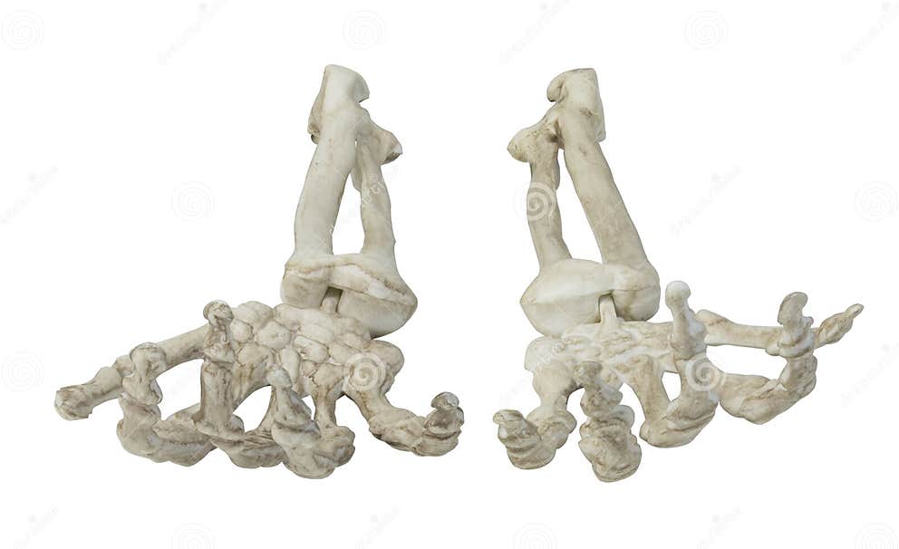 Skeleton Hands Reaching Toward You Stock Photo - Image of bones ...