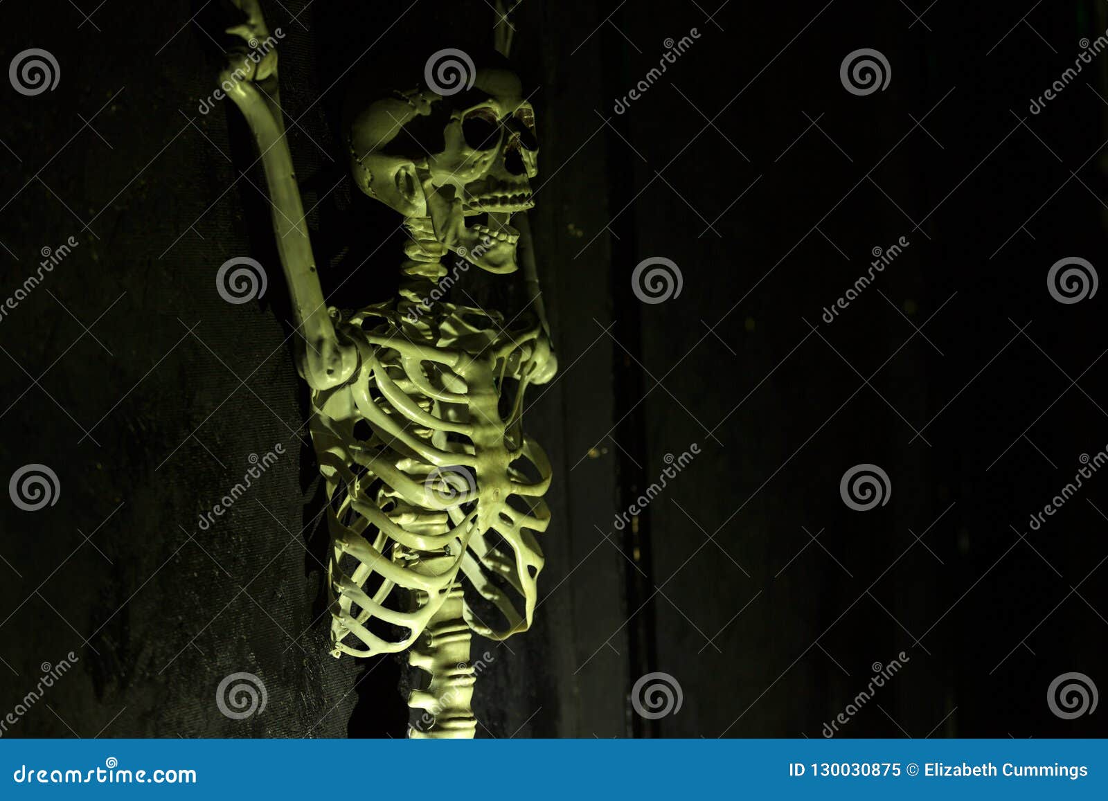 Skeleton Hanging in the Darkness Ready To Scare People. Stock Image ...