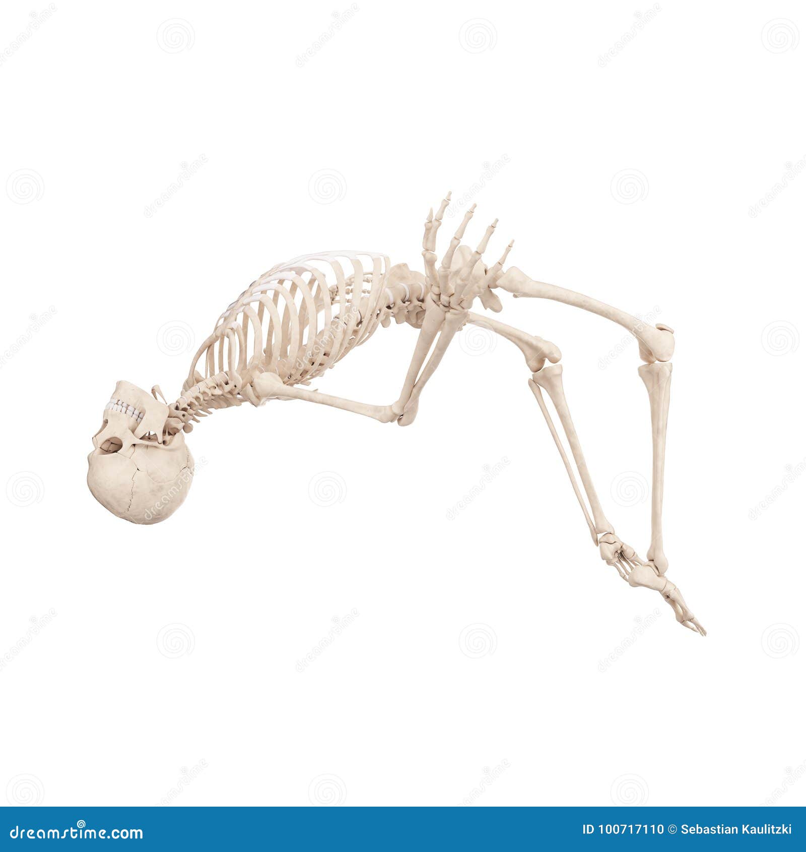 A skeleton highjumping stock illustration. Illustration of athlete ...