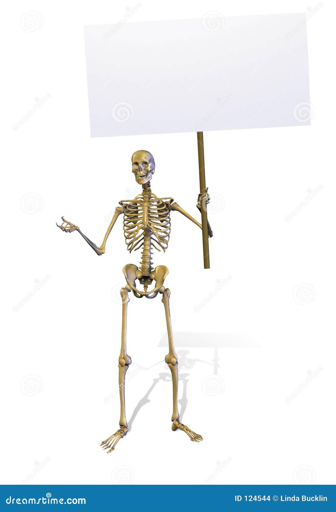 Skeleton Holding a Blank Sign - Includes Clipping Path Stock ...