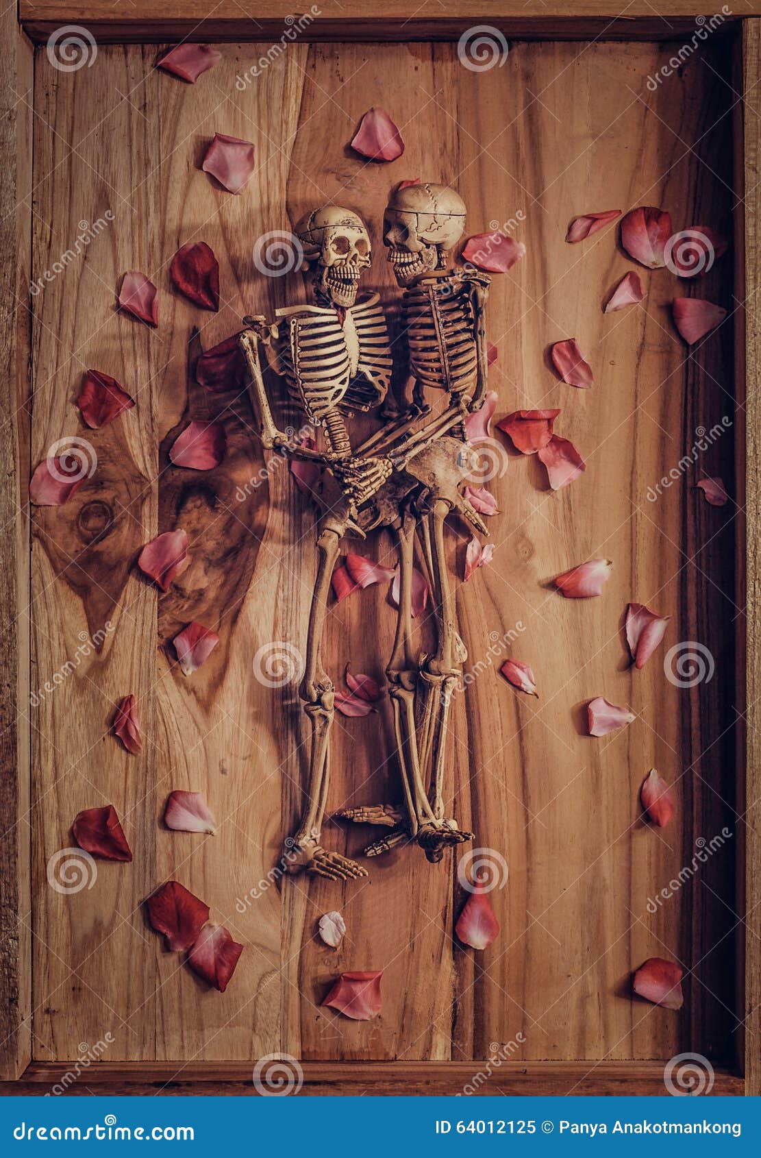 Skeleton Holding Hand for Eternal Love. Selective Focus on Hand Stock ...