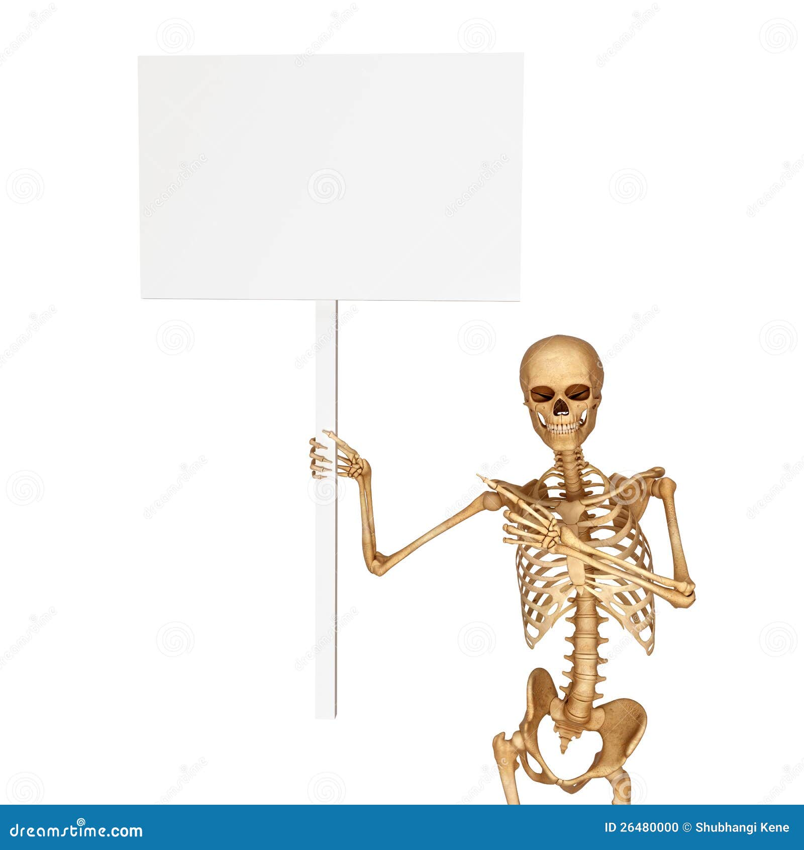 Skeleton Holding a Sign Isolated on White Stock Illustration ...