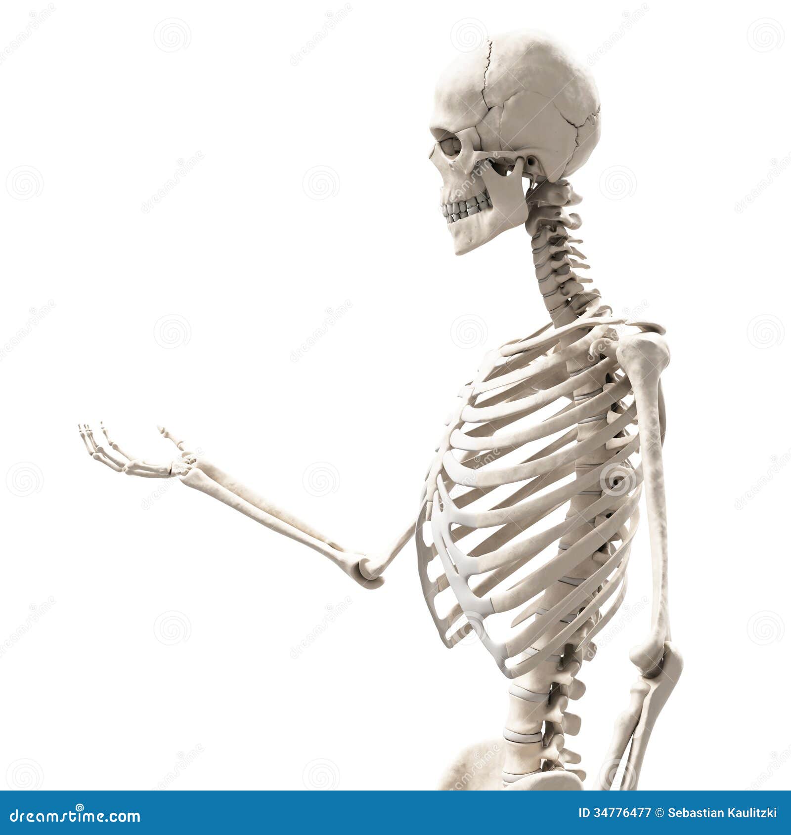 Skeleton Hand Holding Something