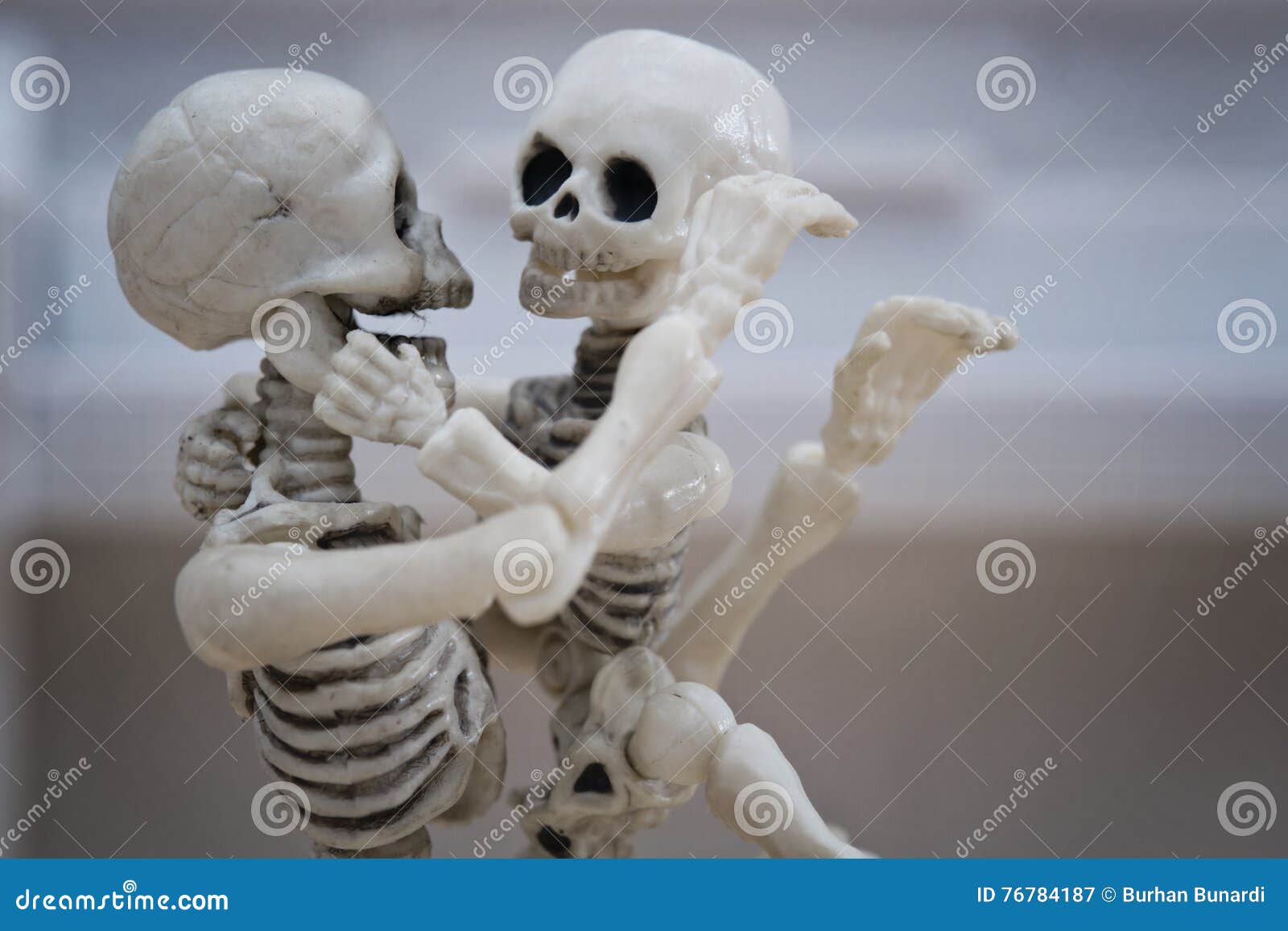 Skeleton hugs stock image. Image of human, woman, children - 76784187