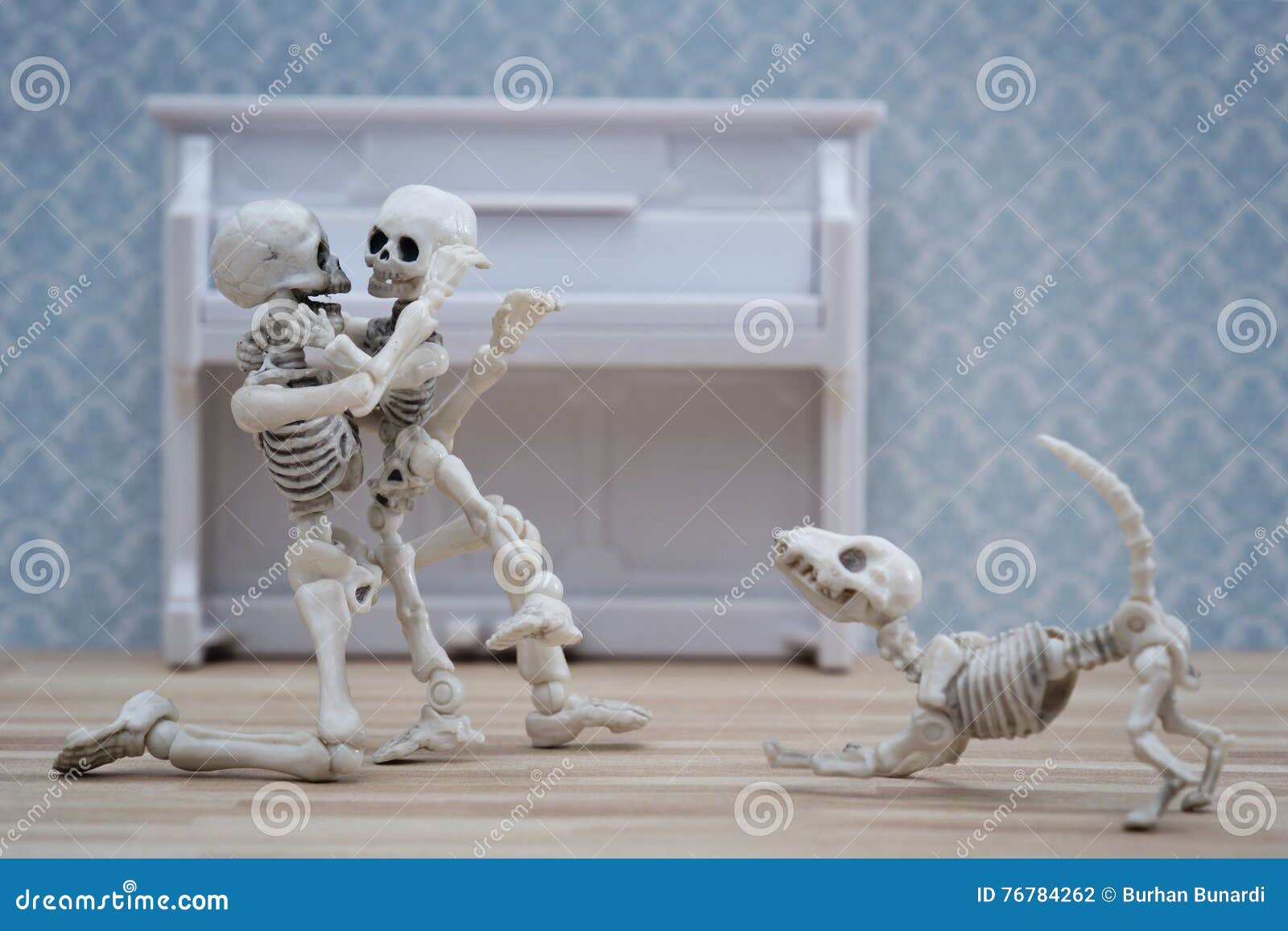 Skeleton hugs stock photo. Image of people, cute, woman - 76784262