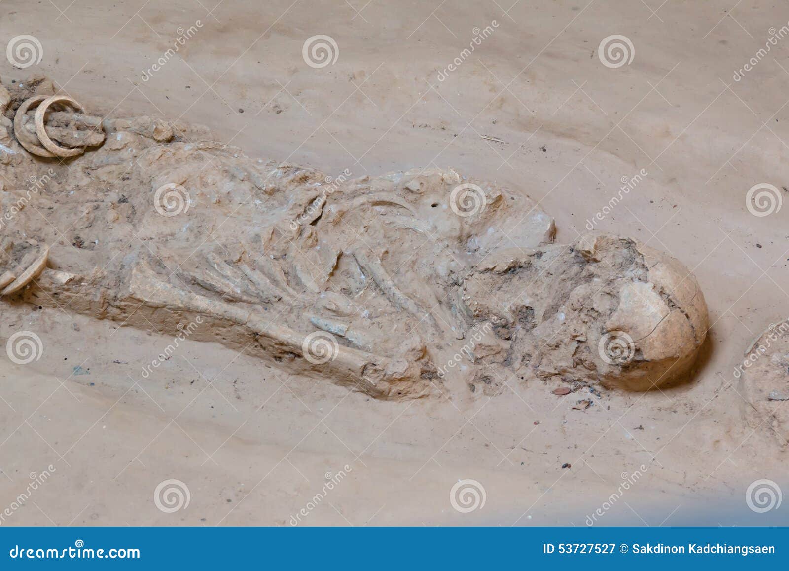 Burial Skeleton Human Bones From Ancient Grave Stock Photography ...