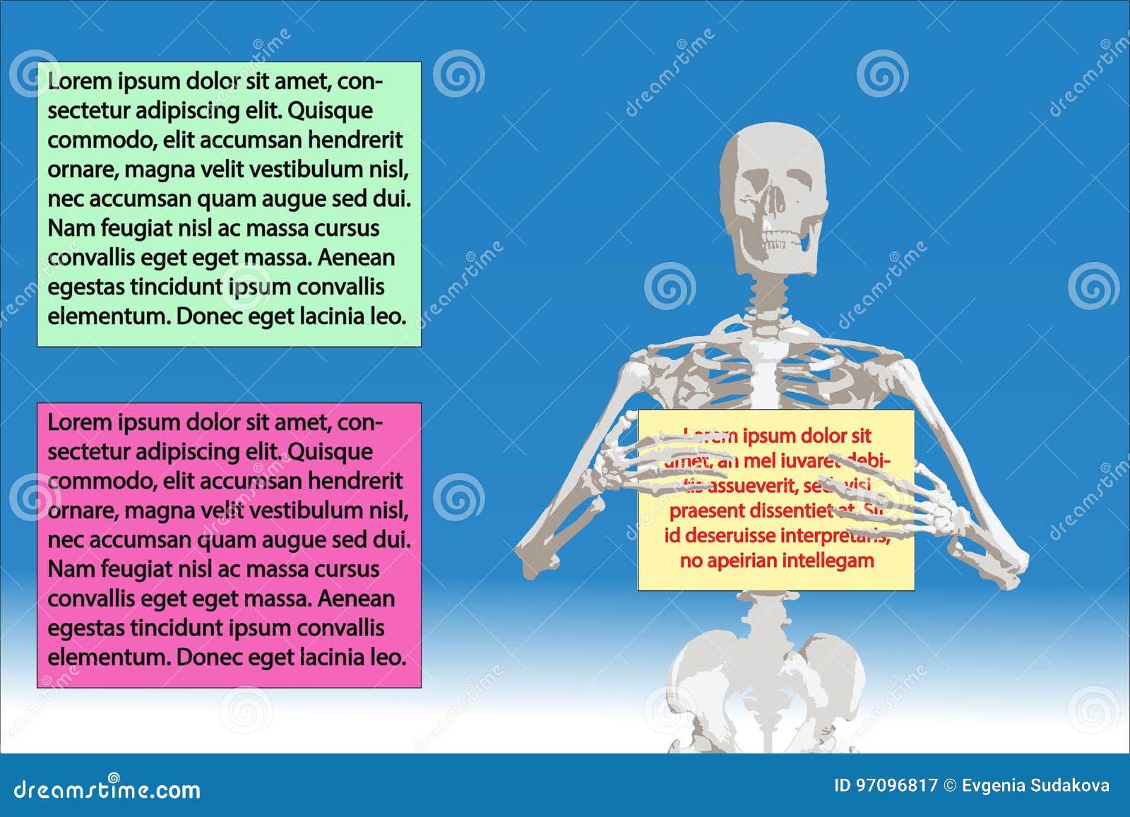 Skeleton Human Bones Skull Body Medicine Stock Vector - Illustration of ...