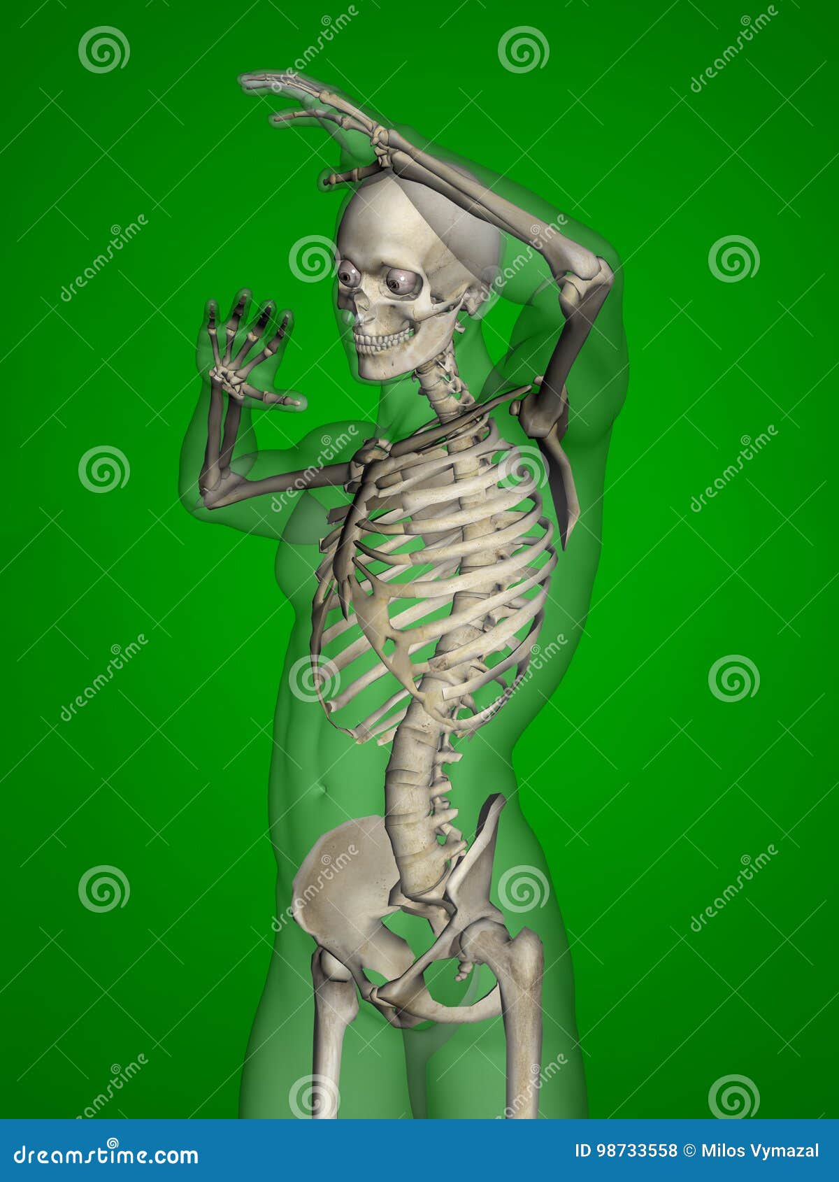 Skeleton stock illustration. Illustration of green, bone - 98733558