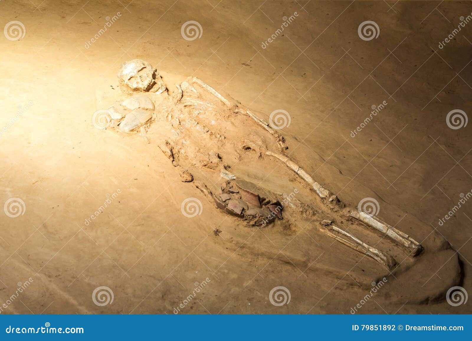 Burial Skeleton Human Bones From Ancient Grave Stock Photography ...