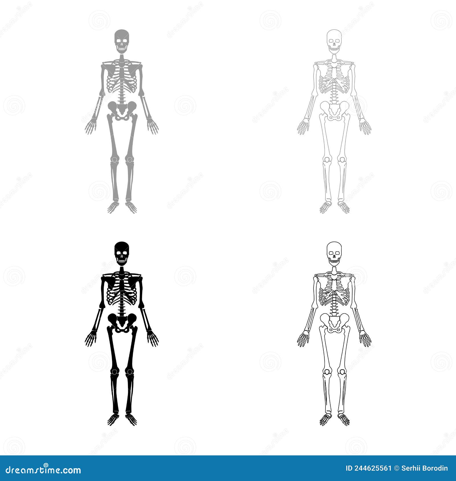 Skeleton Human Set Icon Grey Black Color Vector Illustration Image ...
