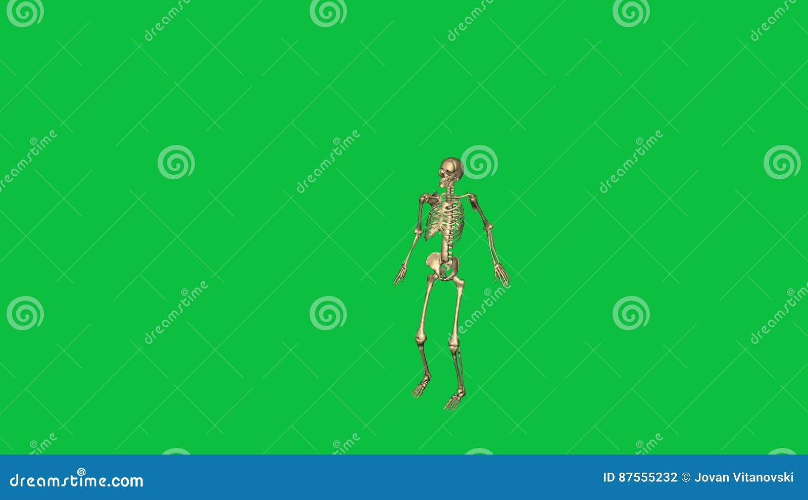 Skeleton Jump Vertical - Separate on Green Screen Stock Footage - Video ...