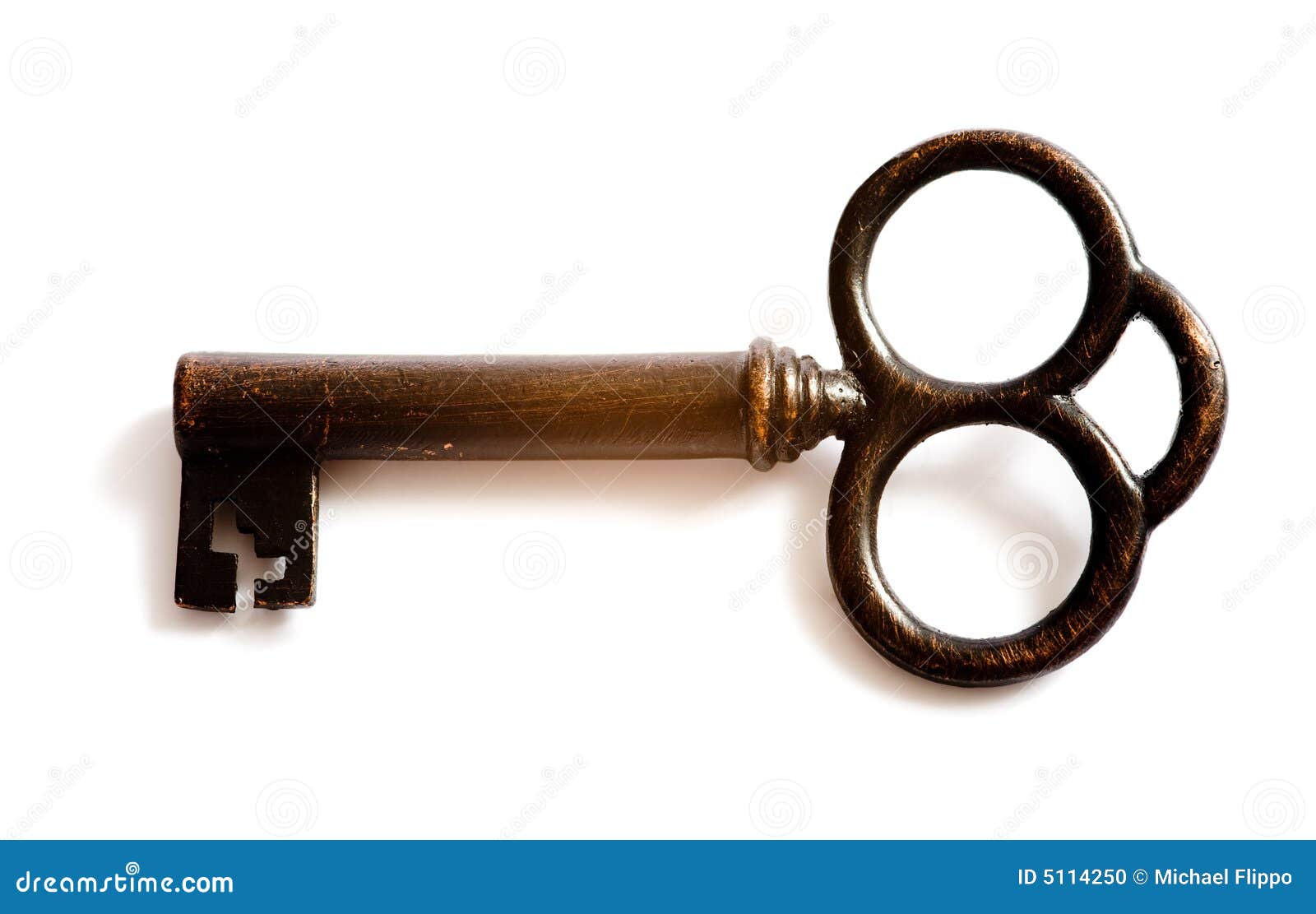 Skeleton Key stock photo. Image of decoration, steel, parts - 5114250