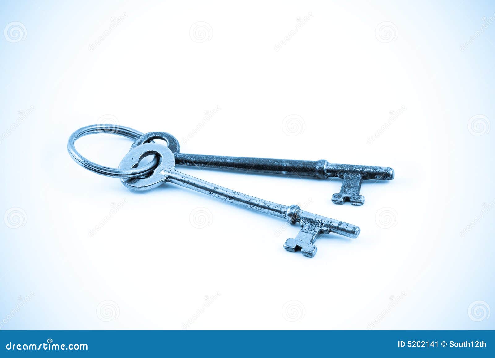 Skeleton Key Blues stock image. Image of accessibility - 5202141