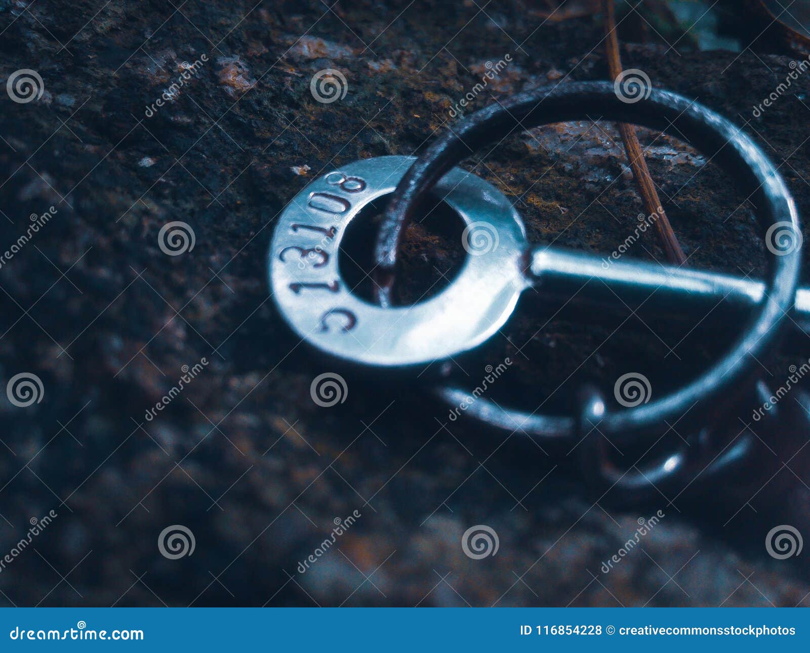 Skeleton Key On Ground Picture. Image: 116854228