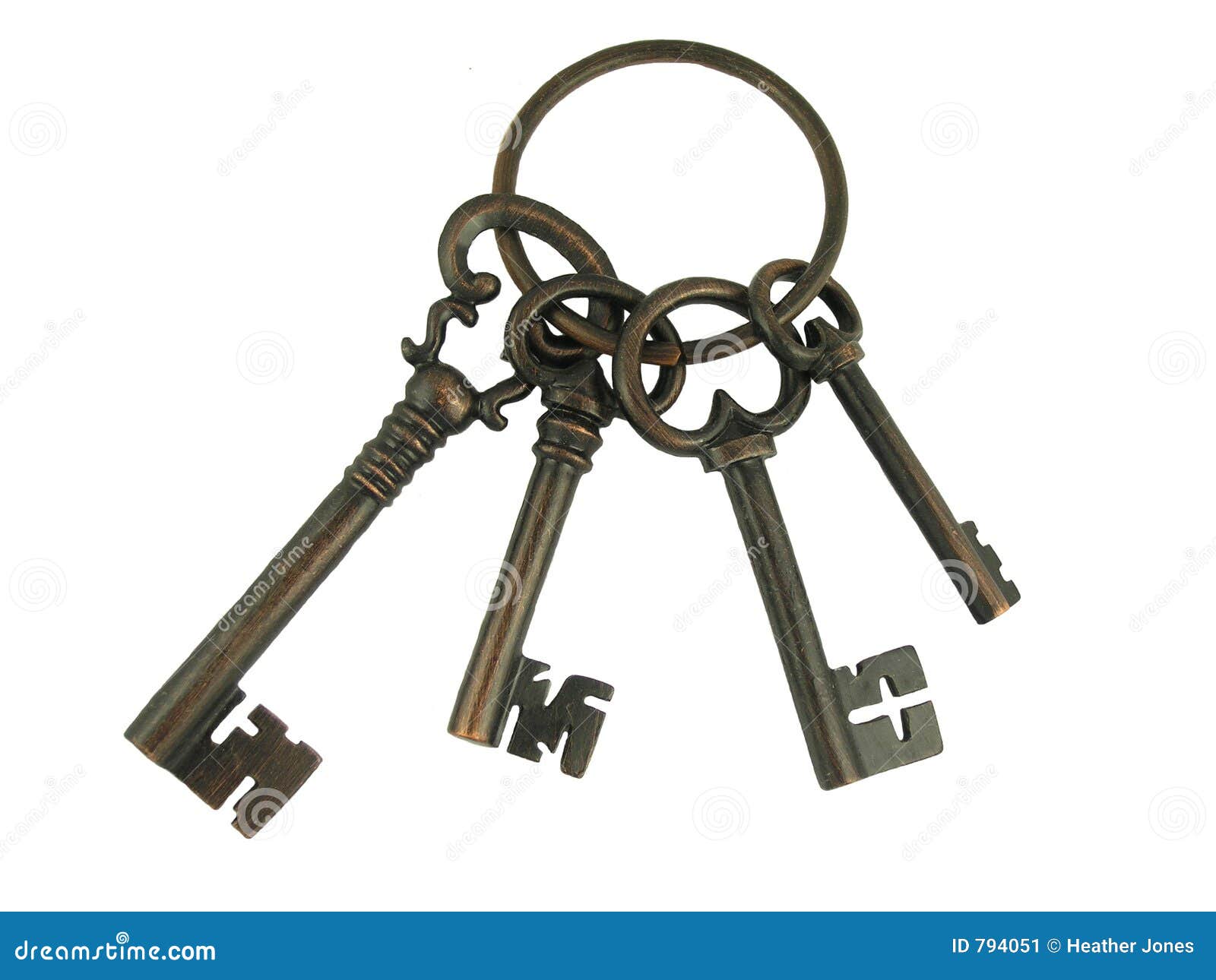 Skeleton keys on a ring stock image. Image of decorative - 794051