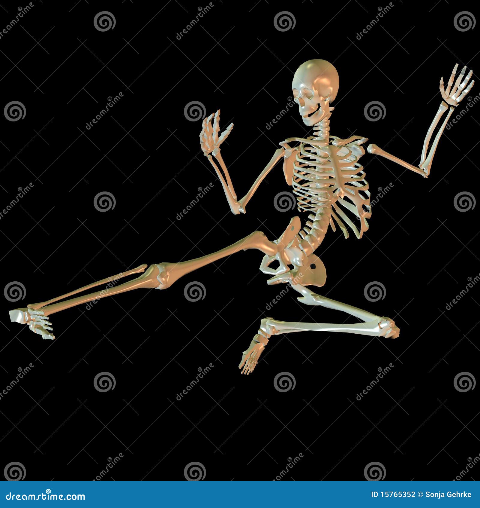 Skeleton in Kickboxing Pose Stock Illustration - Illustration of bone ...