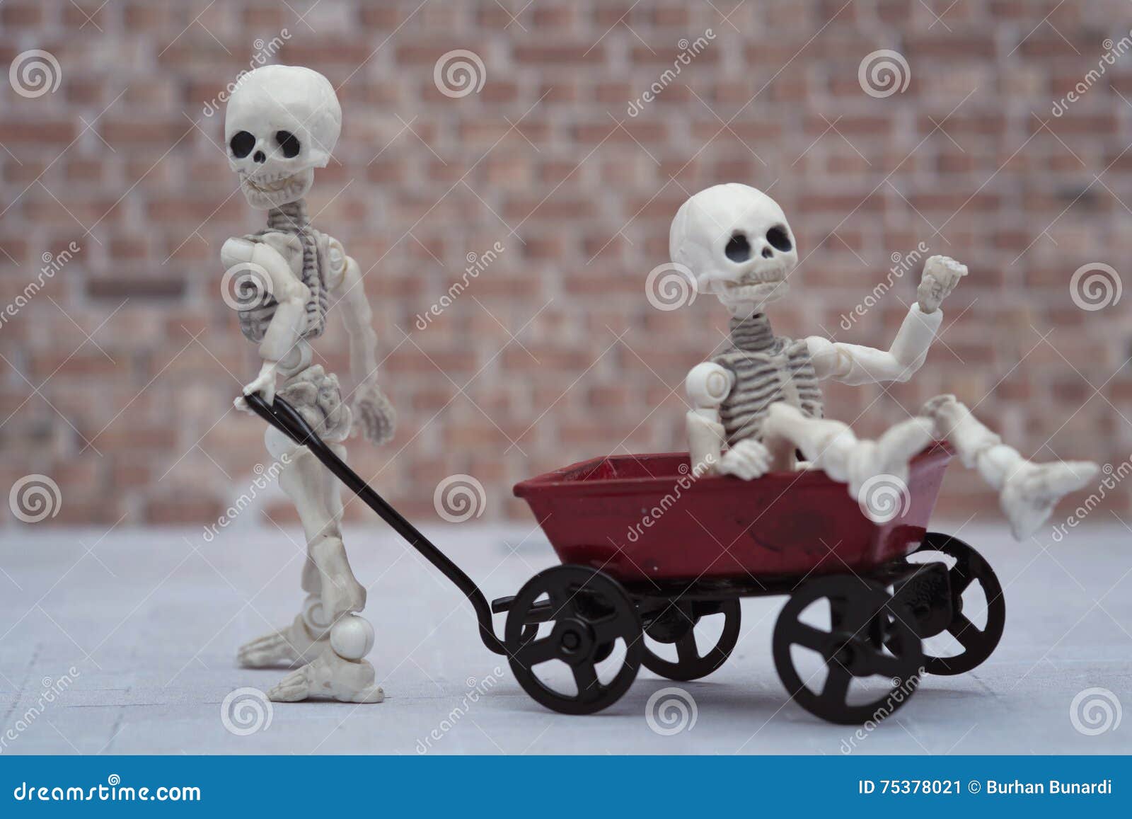 Skeleton Wagon Photos - Free & Royalty-Free Stock Photos from Dreamstime