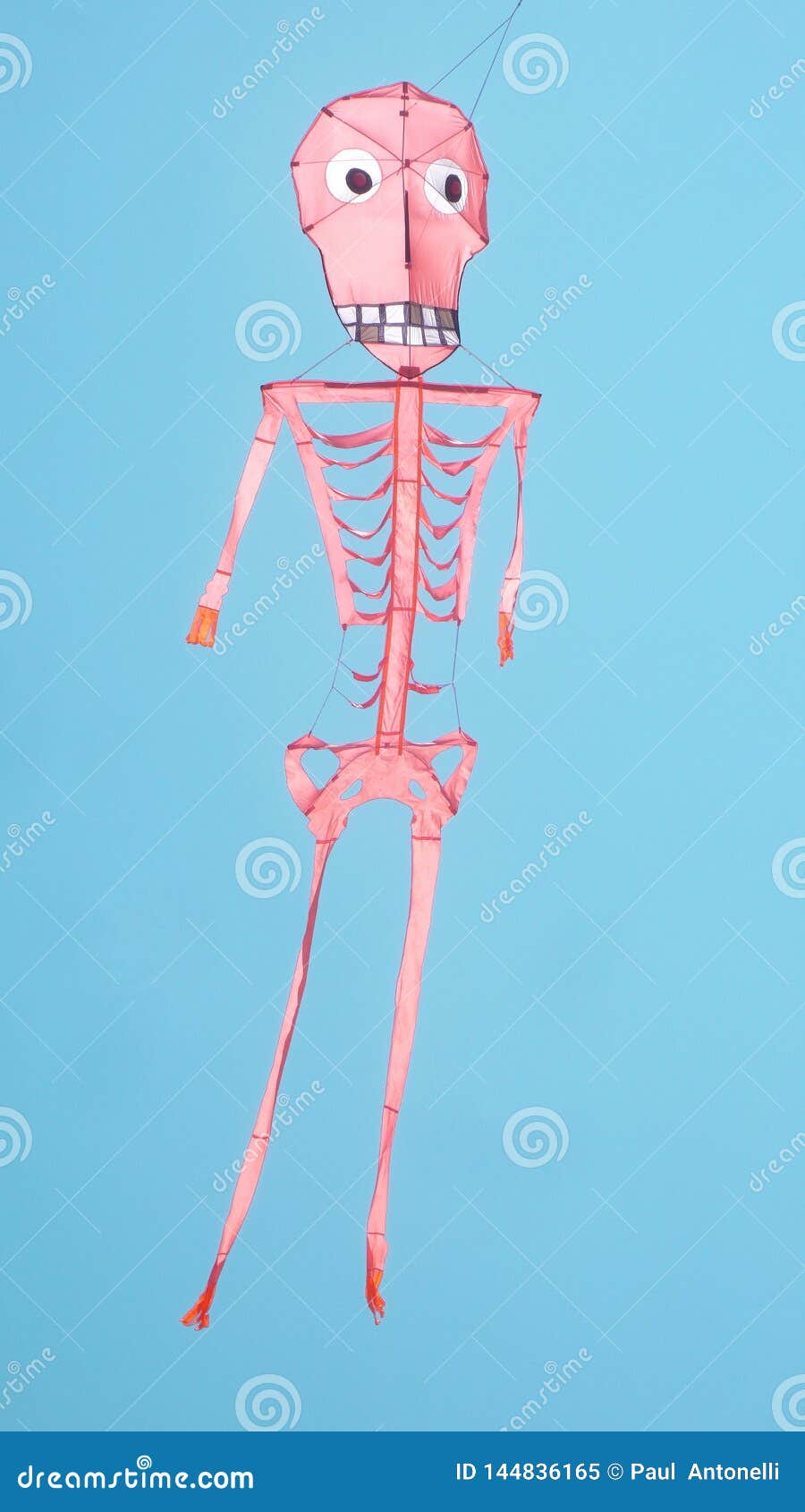 Skeleton kite above stock image. Image of straight, wind - 144836165