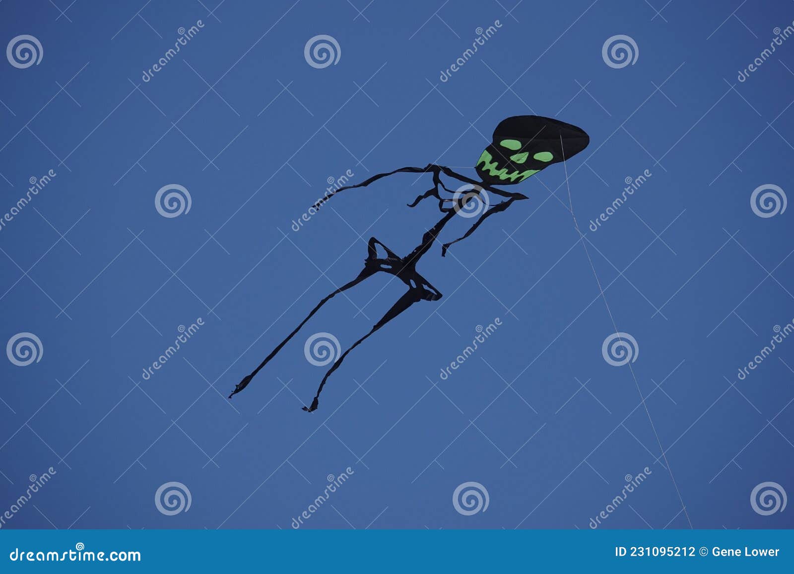 Skeleton Kite Against Blue Sky Stock Photo - Image of skeleton ...