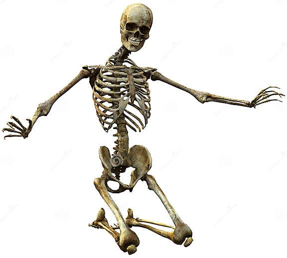 Skeleton kneel stock illustration. Illustration of backache - 15565323