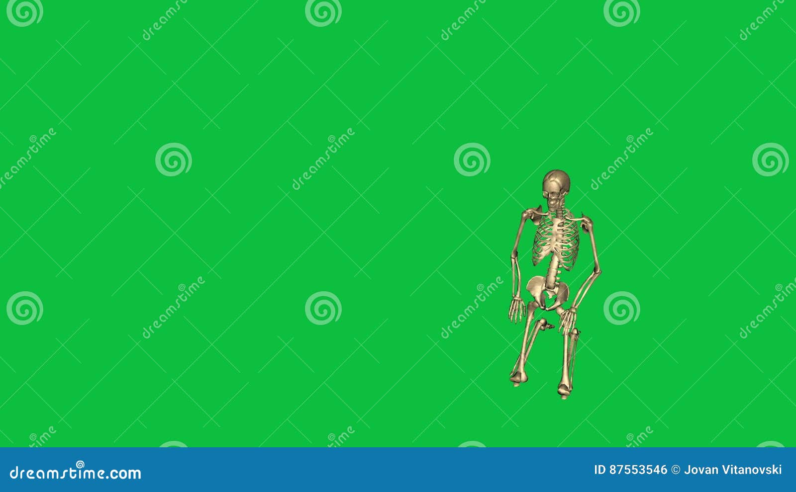 Skeleton Kneel and German Salute - Separate on Green Screen Stock ...