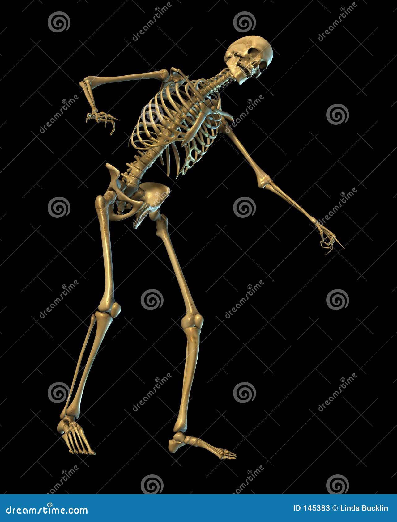 Skeleton Laughing and Pointing - on Black with Clipping Path Stock ...