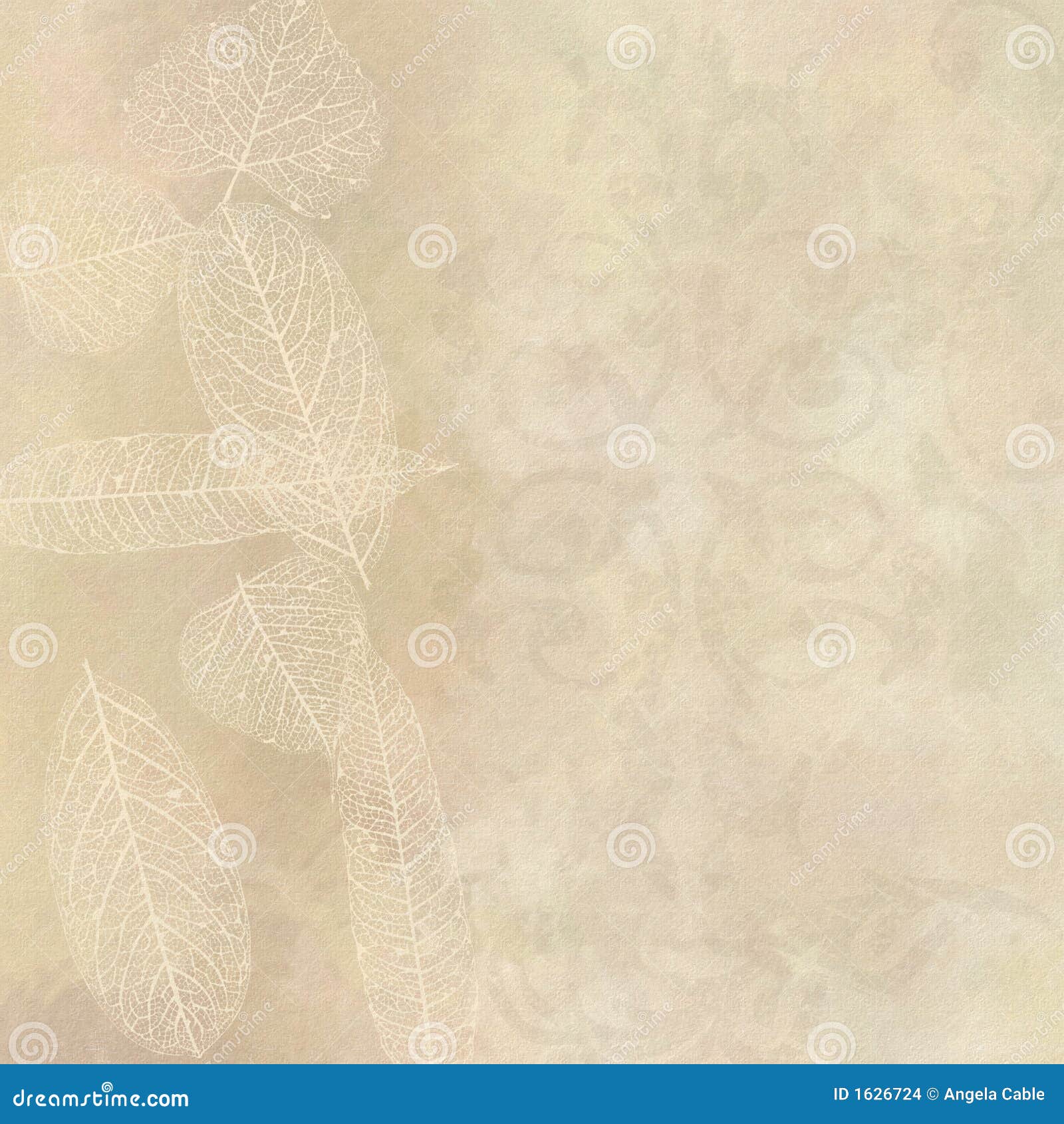 Beige Skeleton Stock Illustrations – 451 Beige Skeleton Stock ...