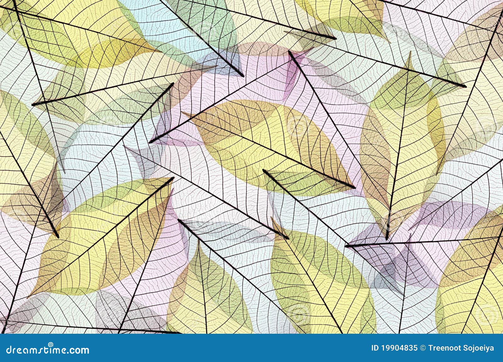 Leaf Abstract Background Texture With Veins Stock Image | CartoonDealer ...