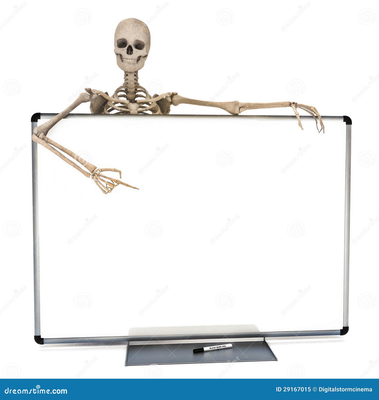 Skeleton Leaning Over A Clean Marker White Board Pointing To ...