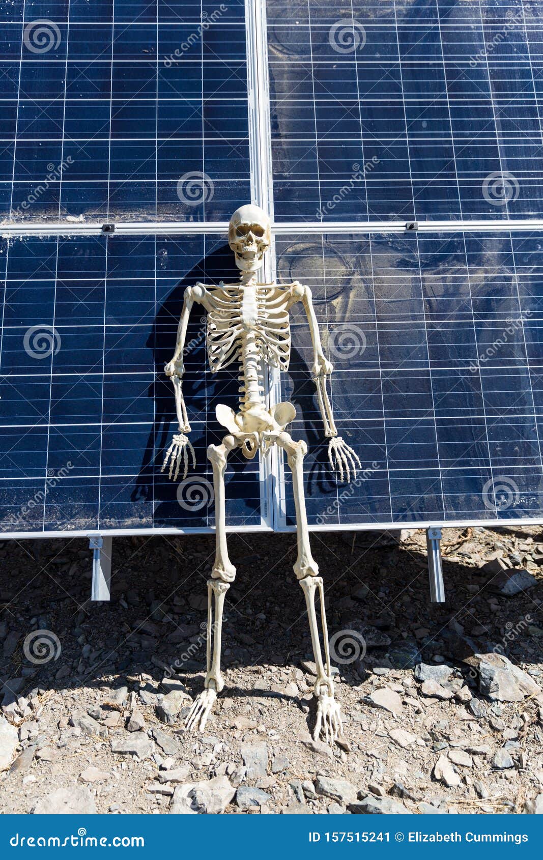 Skeleton Leaning On Solar Panels In The Desert Stock Photo ...