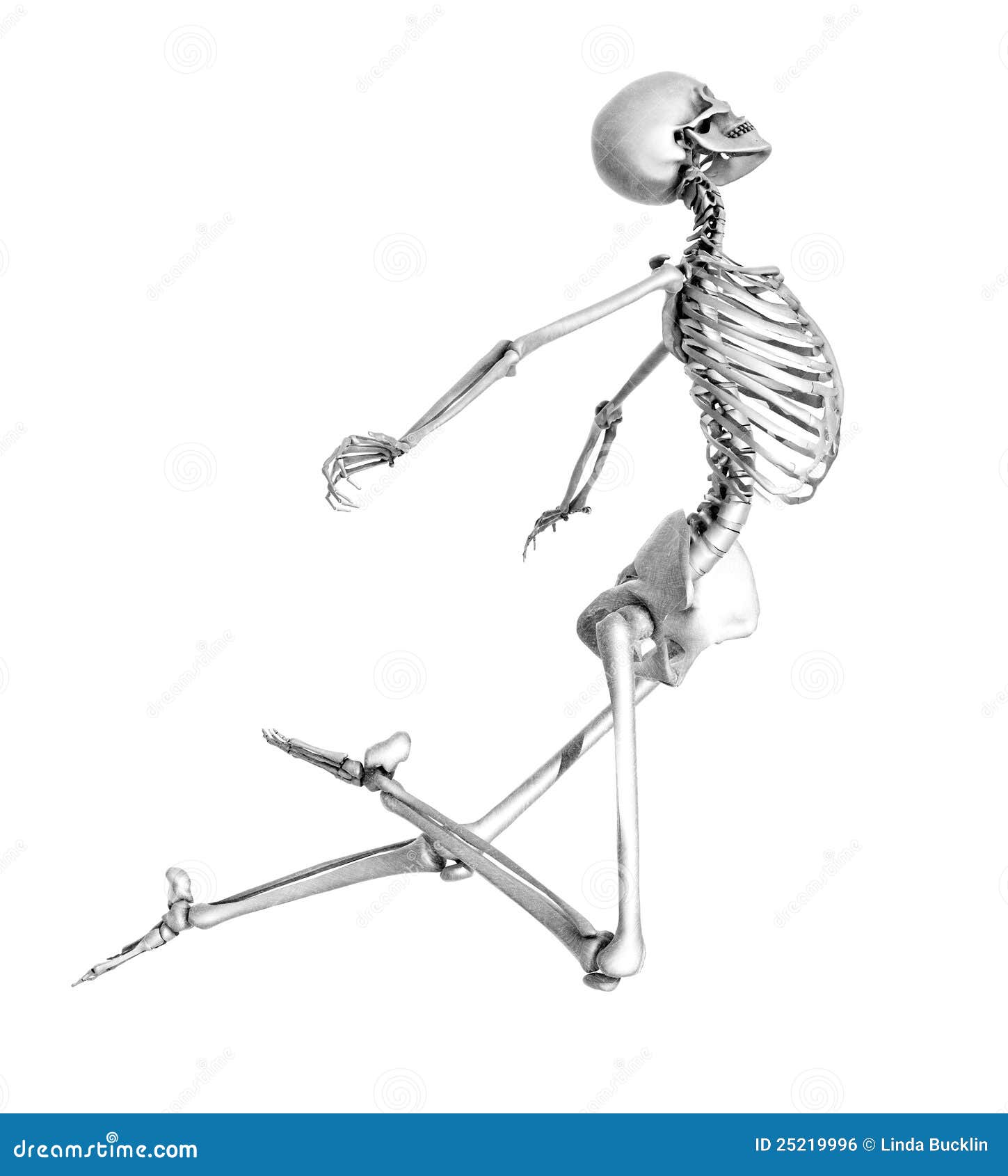 Skeleton Leaping - Pencil Drawing Style Stock Illustration ...