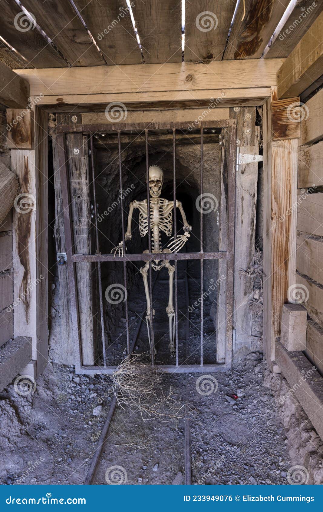 Skeleton Locked Behind a Metal Gate in a Mining Shaft Stock Photo ...