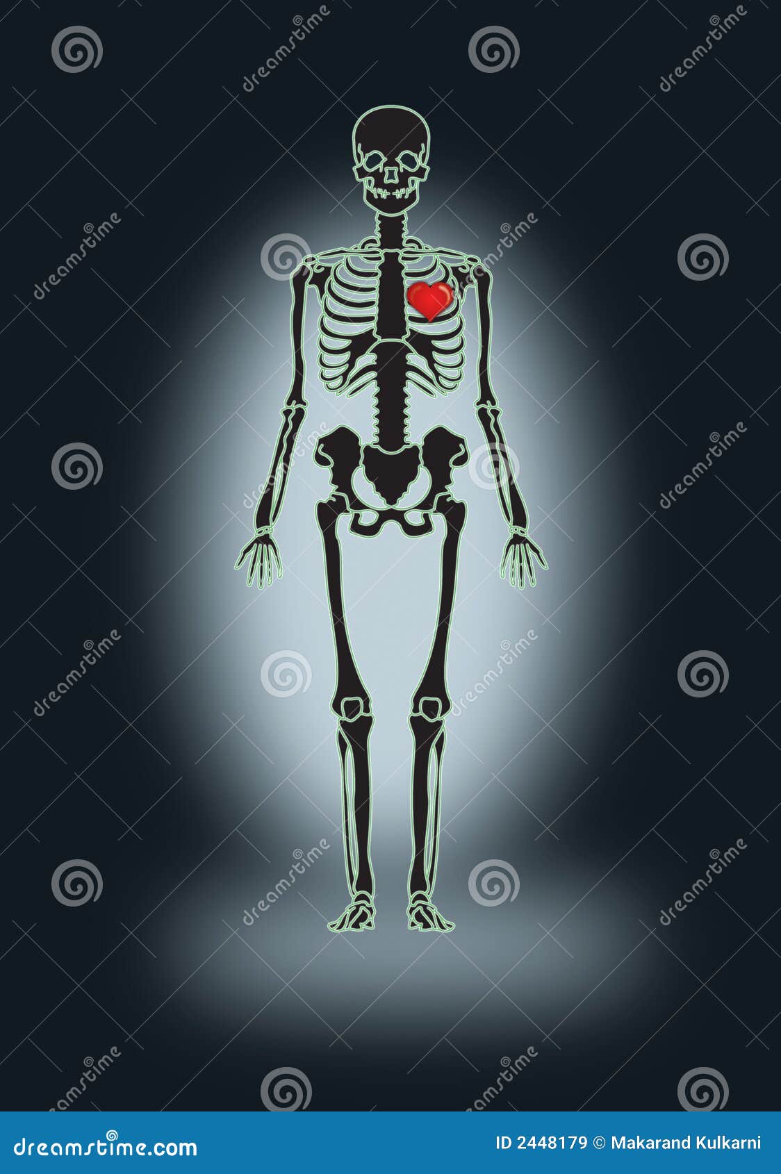 Skeleton love stock illustration. Illustration of passion - 2448179