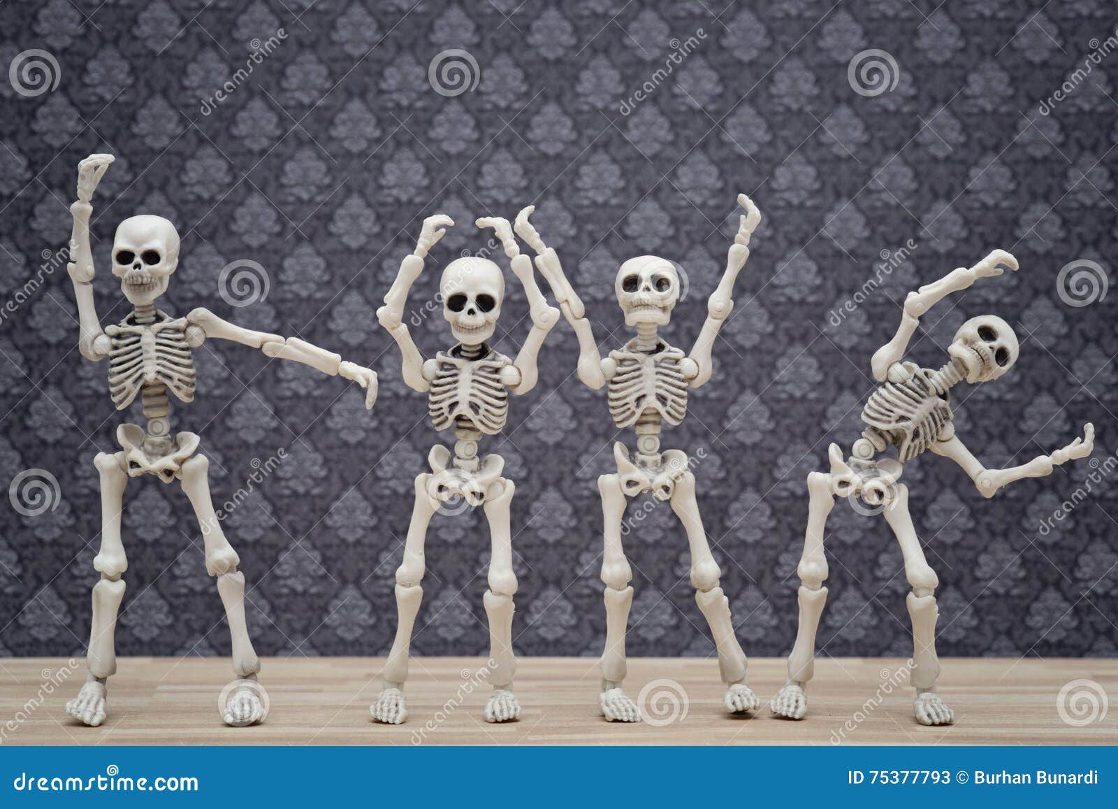 Skeleton LOVE stock image. Image of skull, spooky, human - 75377793
