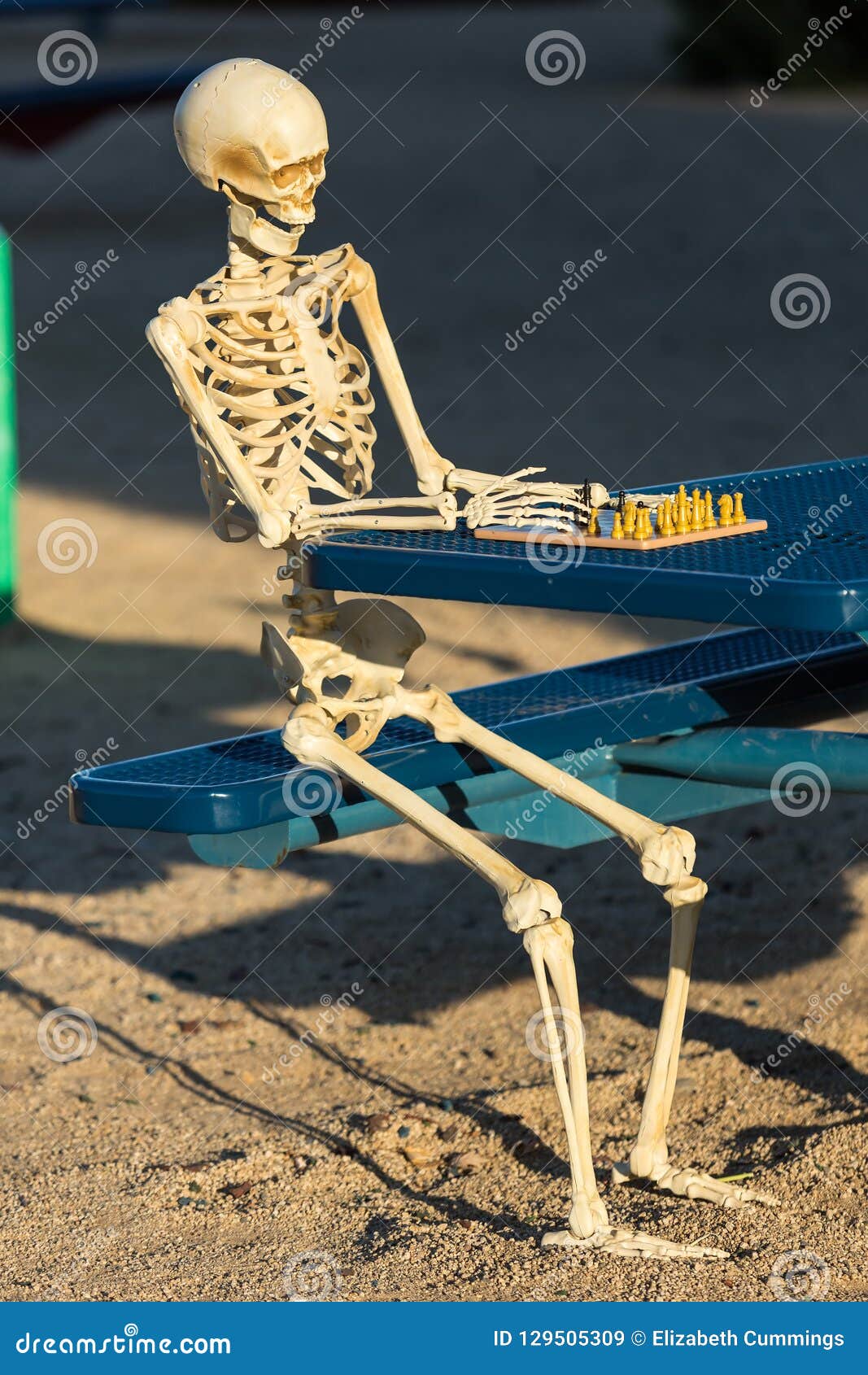 Skeleton playing chess stock image. Image of chess, play - 129505309