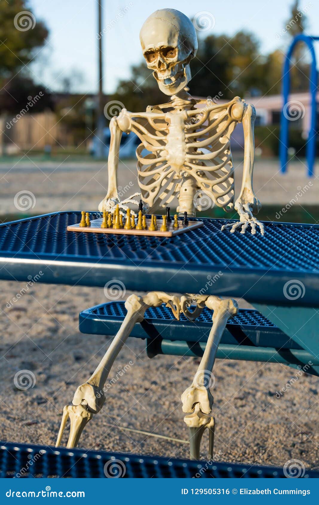 Skeleton playing chess stock photo. Image of queen, playing - 129505316