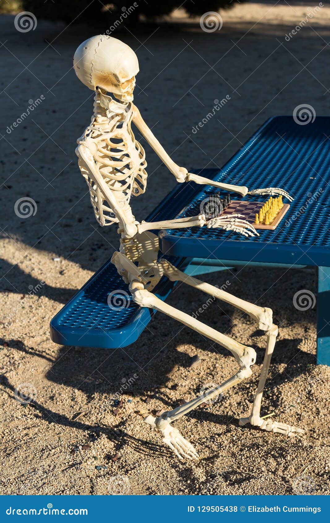 Skeleton playing chess stock photo. Image of king, knight - 129505438
