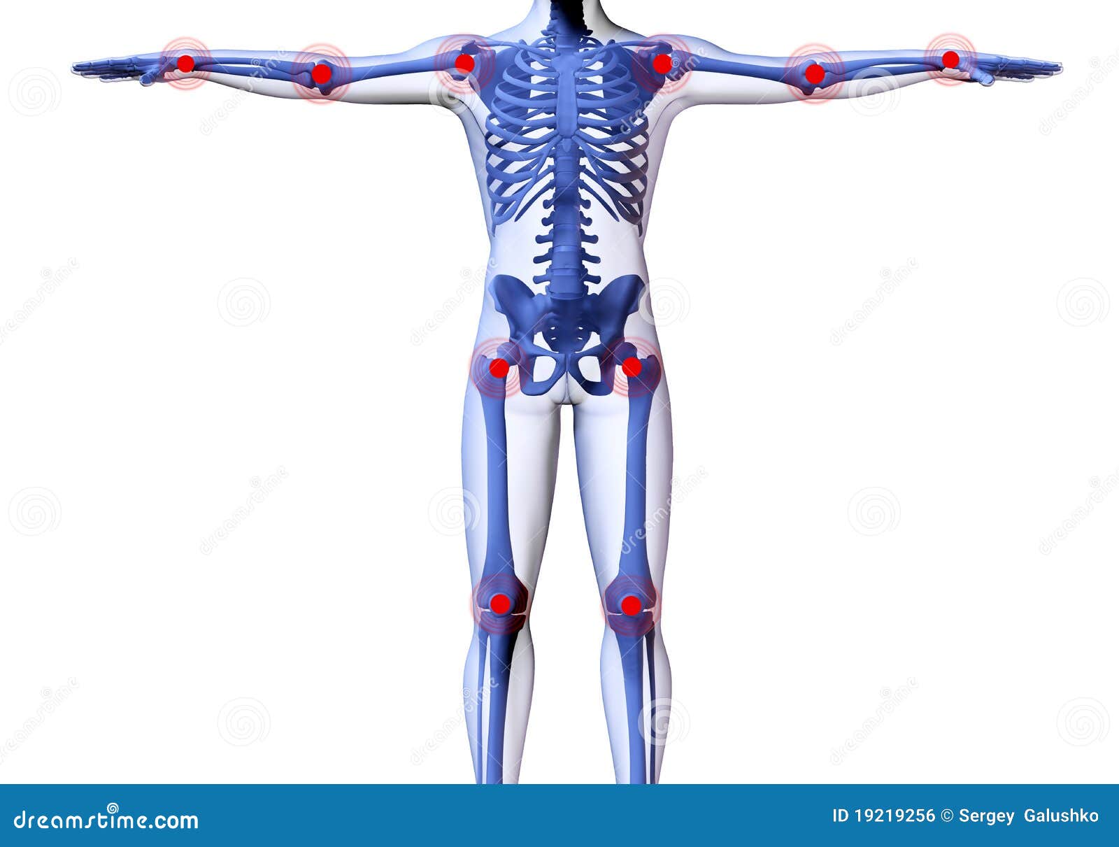 Skeleton of the man stock illustration. Illustration of graphic - 19219256