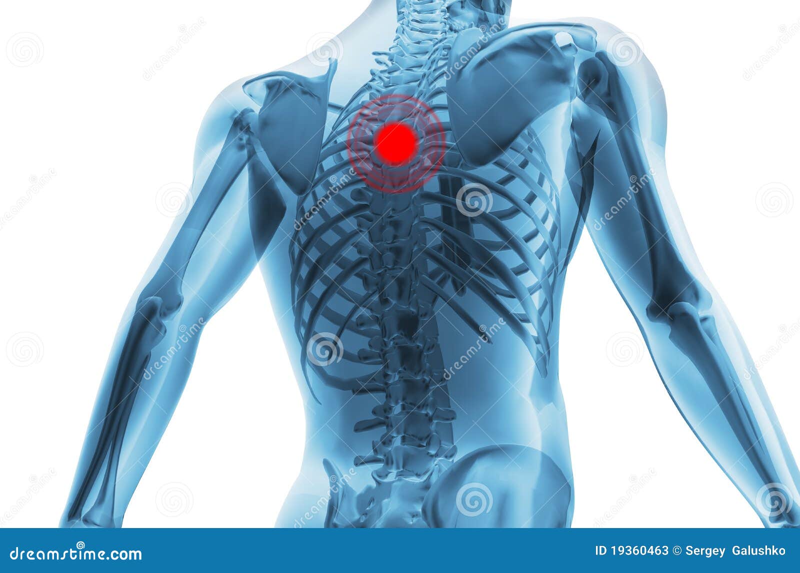 Skeleton In A Skin Suit Stock Photography | CartoonDealer.com #13180694