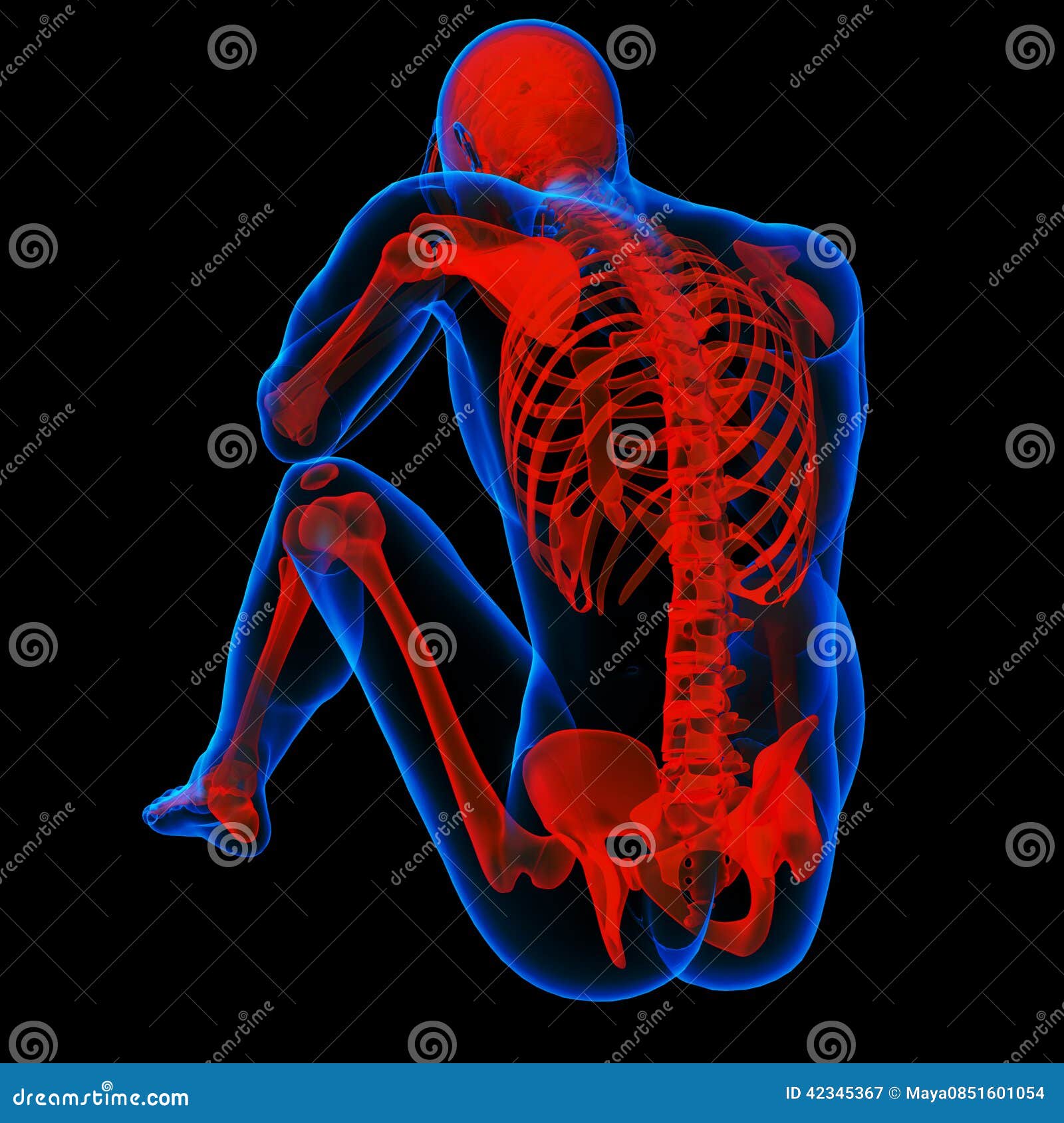 Skeleton of the man stock illustration. Illustration of transparent ...