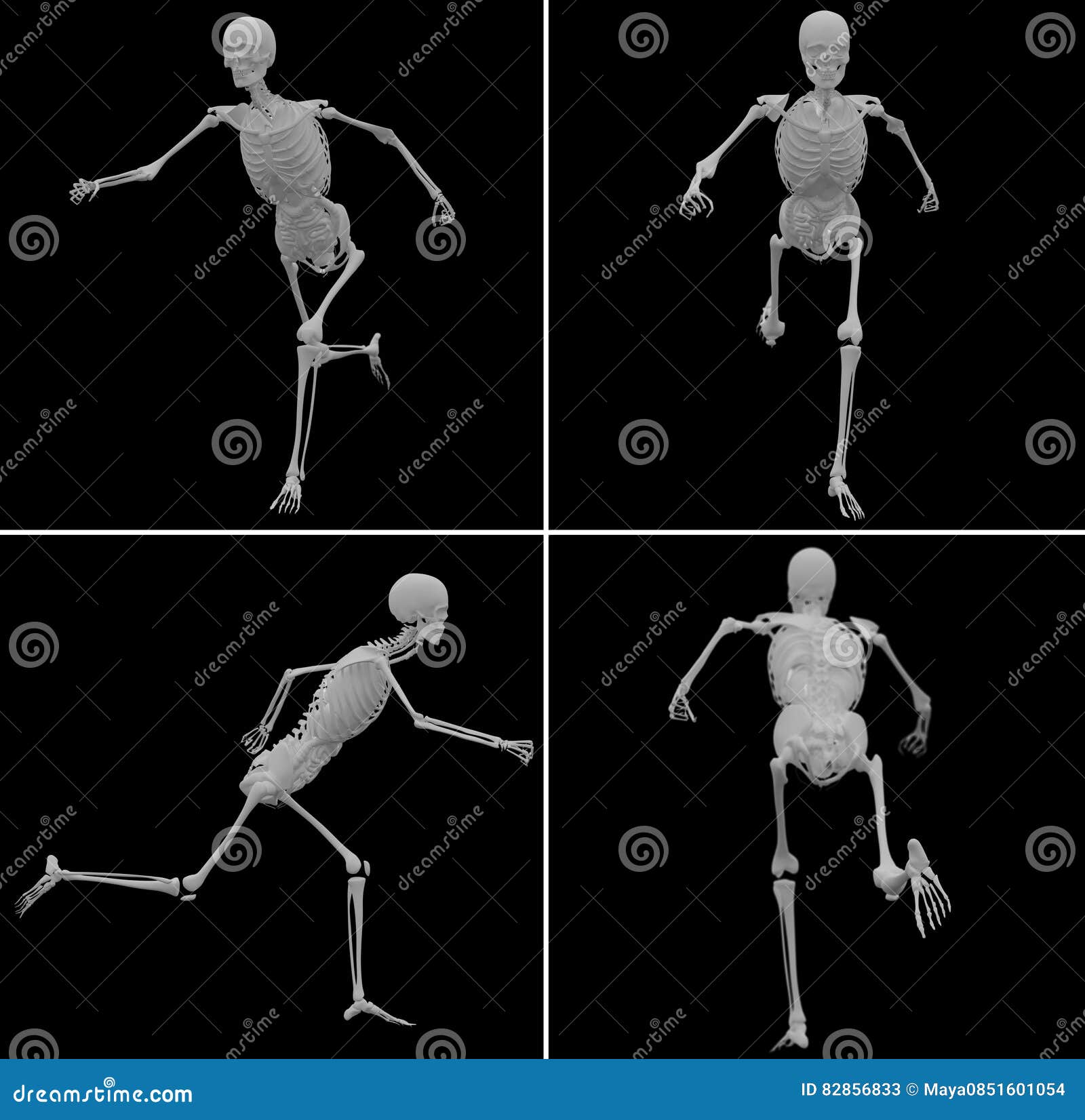 Skeleton stock illustration. Illustration of radiation - 82856833