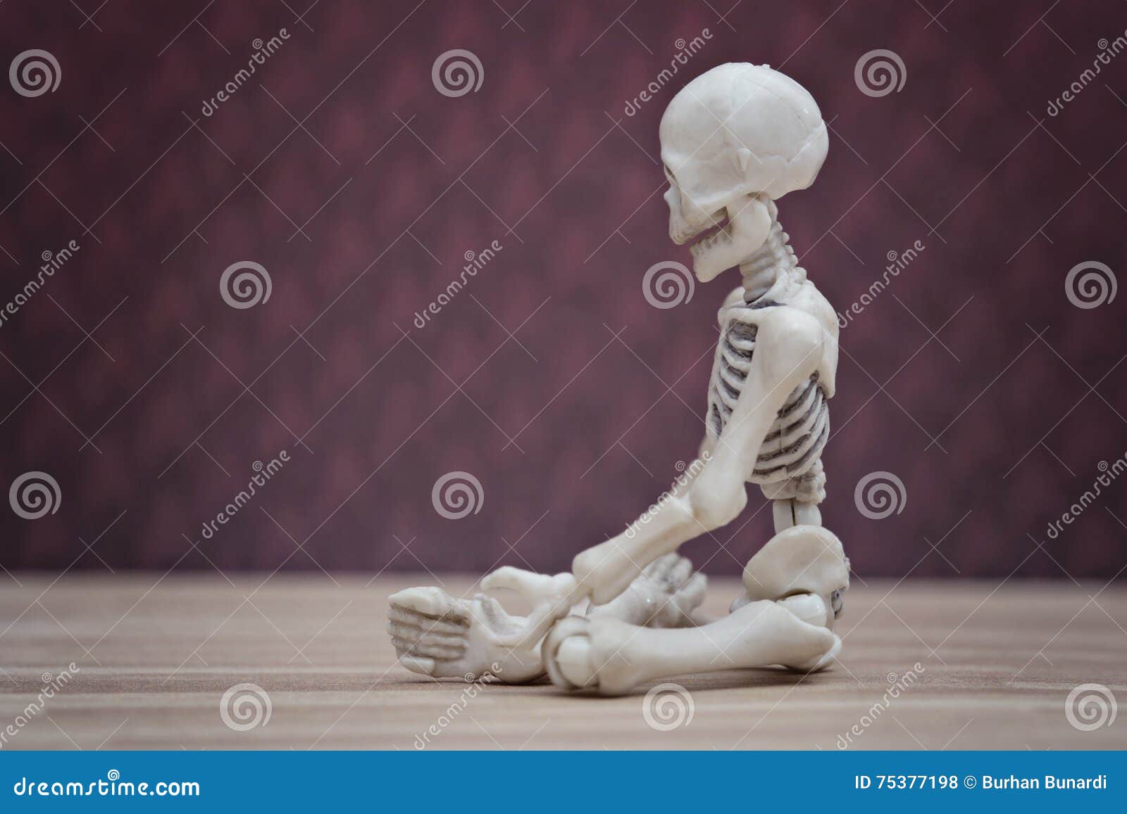141 Meditation Skeleton Photos - Free & Royalty-Free Stock Photos from ...