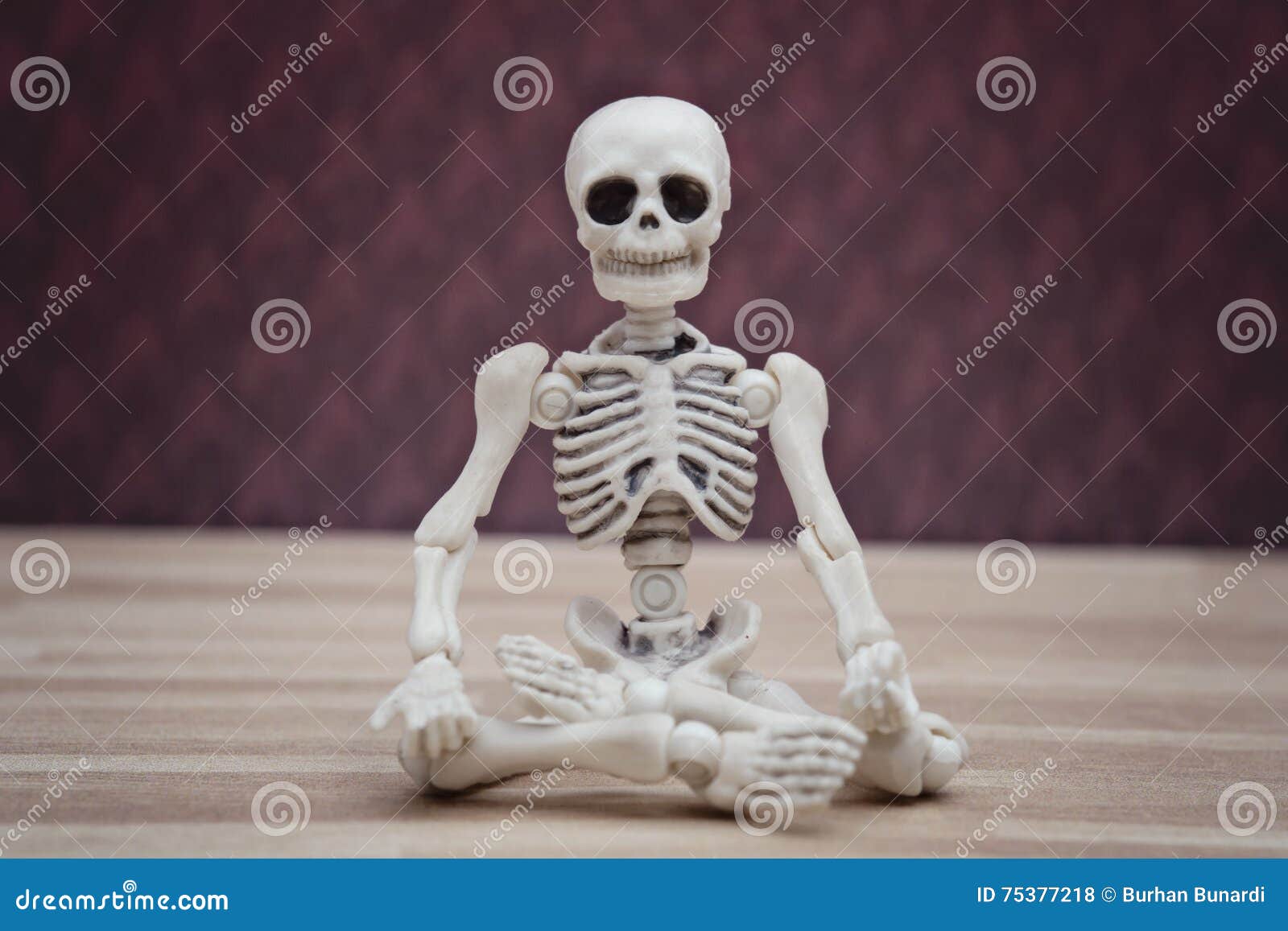 Skeleton meditation stock photo. Image of lifestyle, dead - 75377218