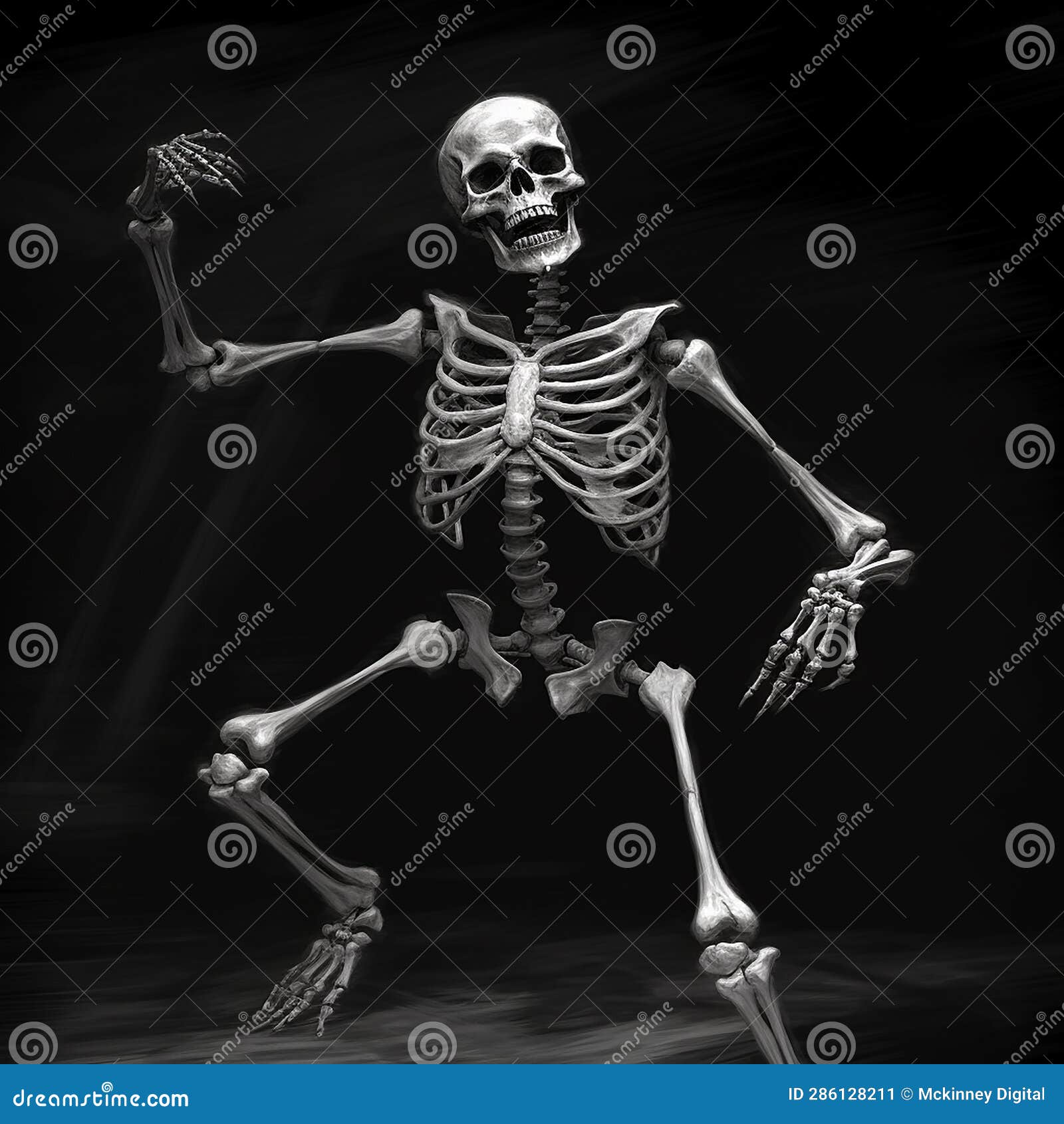 Arms Skeleton Human Front View. Set Of Hands, Forearms, Humerus, Ulna ...